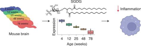 Anguraj Sadanandam Phd Posted On Linkedin