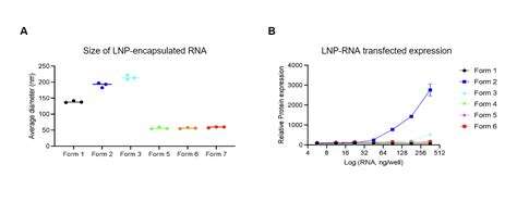 Rna Lnp Preparation Demythbio