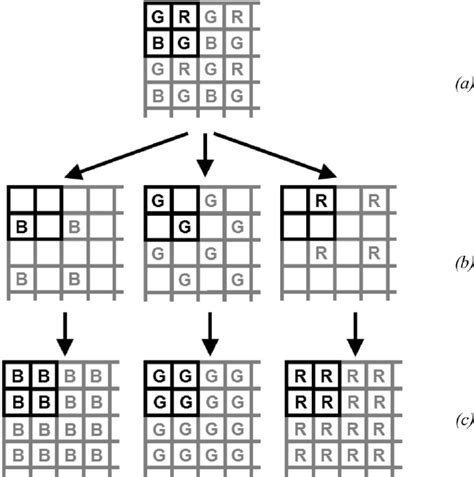 Schematic Showing Color Image Separation And Interpolation A