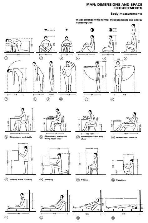 Image Result For Ergonomic Human Factor For Chairs Human Dimension