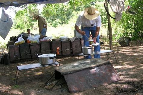 Contos De Paco Encontros Com A Vida Selvagem Pantanal Capítulo 4