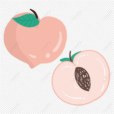 손으로 그려진 여름 과일 복숭아 Png 일러스트 무료 다운로드 Lovepik