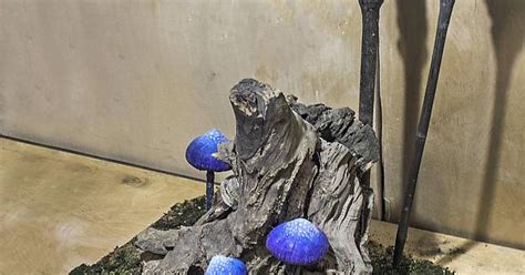 Piece Of Bitter Coast Based On The Elder Scrolls Iii Morrowind Album On Imgur