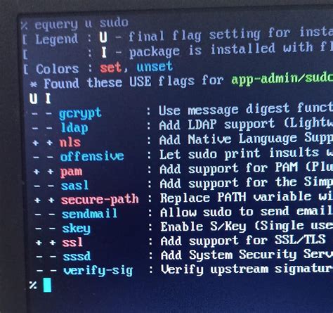 offensive flag for sudo any takers r gentoo