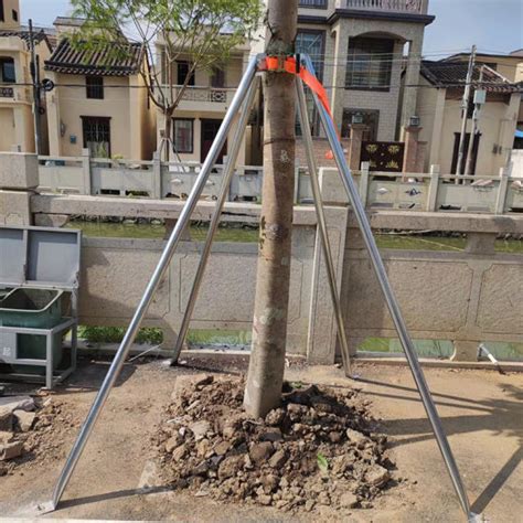 Landscaping Large Tree Support Iron Cup Strap Tree Support Frame Fixer China Fixator And