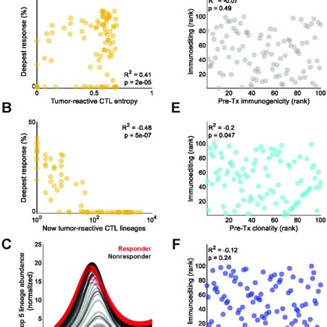 Distinct Tumor Reactive Ctl Lineages Were Modeled To Capture