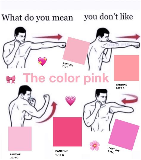 What Do You Mean You Dont Like The Color Pink What Do You Mean You