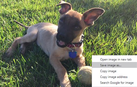 Image Downloads Imgur