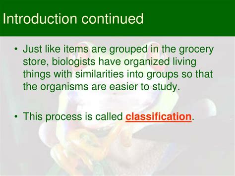 Ppt Classifying Organisms Powerpoint Presentation Free Download Id