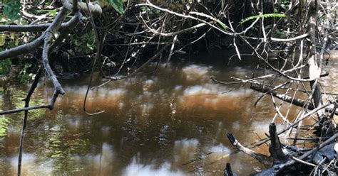 សពស្រ្តីម្នាក់ដែលត្រូវបានគេសម្លាប់ ប្រទះឃើញនៅក្បែរមាត់ស្ទឹង ខេត្តកំពង់ស្ពឺ Khmerload