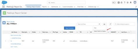 How To Create A List View Of Email Data Peeklogic