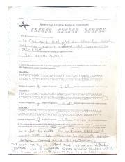 Restriction Enzyme Analysis How Many DNA Fragments Will Result Course Hero