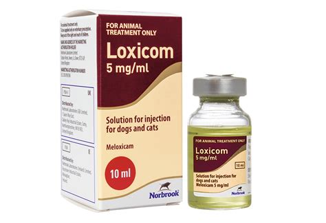Loxicom Injection For Dogs And Cats Norbrook Laboratories