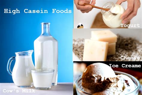 High Casein Foods The Top 5 Foods With Protein Casein