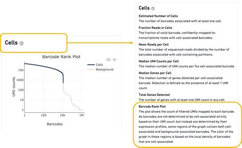 Cell Rangers Web Summary Barcode Rank Plot 10x Genomics