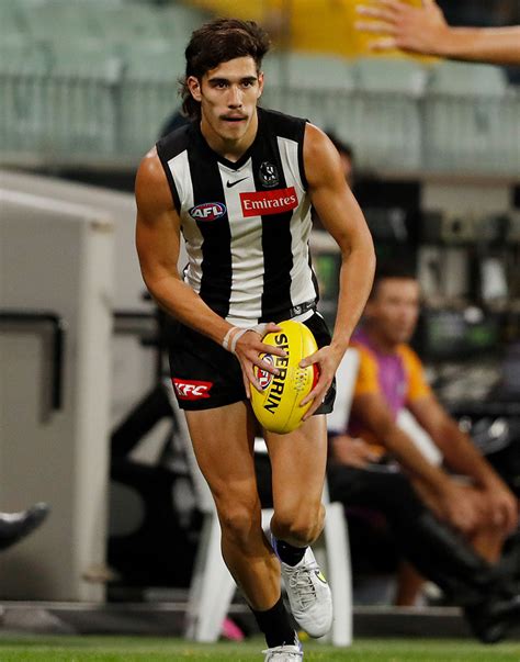 Reef Mcinnes Collingwood Forever