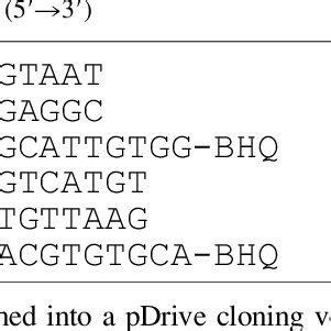 DNA Sequence Of Primers And Probes Download Scientific Diagram