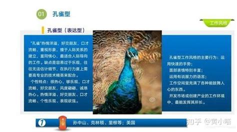 PDP职业性格测试完整版解析 内附测试 知乎