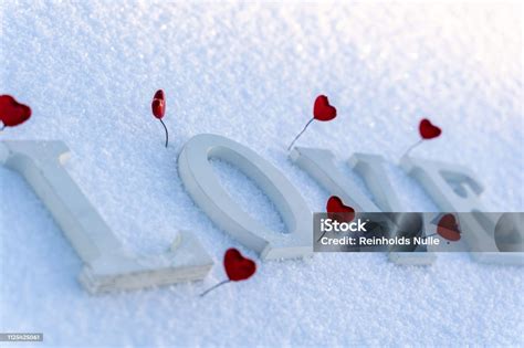 고립 된 단어의 근접 촬영 사랑 눈 속에서 나무 조각에서 레드 심장 장식 주위 흰색 배경으로 맑은 겨울 날에개념의 사랑 행복과 기쁨 발렌타인 데이에 감정에 대한 스톡 사진