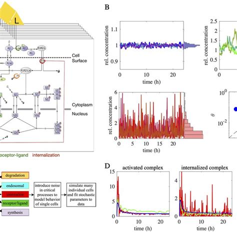 Goodness Of Fit Of Stochastic Block Models With Respect To Components