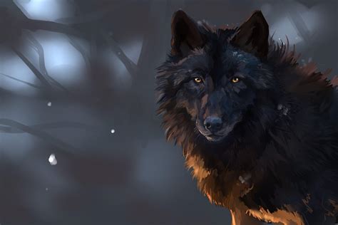 Dark Wolf Wallpapers Top Free Dark Wolf Backgrounds Wallpaperaccess