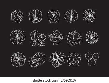 Trees Top View Architecture Landscape Design Stock Vector Royalty Free 175903169