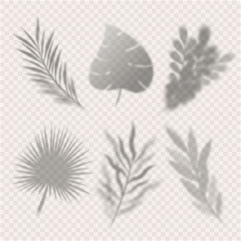 Premium Vector Realistic Leaf Shadow Collection