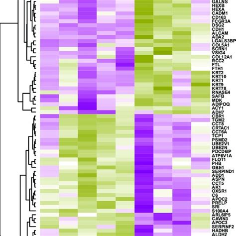 Hierarchical Cluster Analysis Of The 119 Significantly Differentially