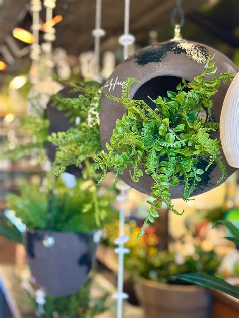 For The Mccarty Lovers Who Jodys Flowers And Fine Ts Facebook