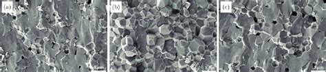 Sem Micrographs Of Pmn Xpt Ceramics Sintered At 1220°c For 2 H A