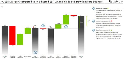 Adjusted Financial Statements And Adjusted Ebitda How To Unlock Their True Power In Excel Zebra Bi