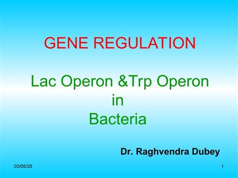Gene Regulation Lac Operon Trp Operonppt
