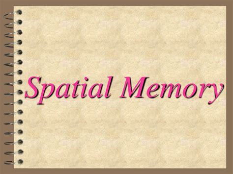 Ppt Spatial Memory Powerpoint Presentation Free Download Id1335647