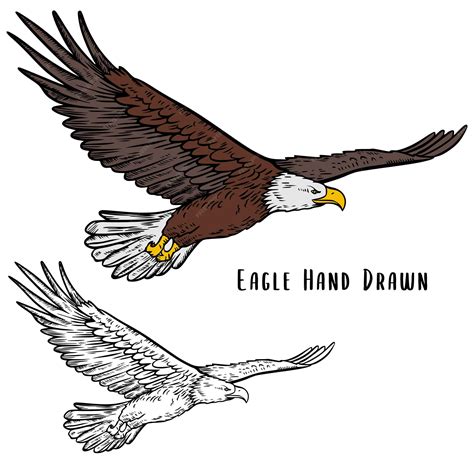 Premium Vector Flying Eagle Illustration In Hand Drawn Style