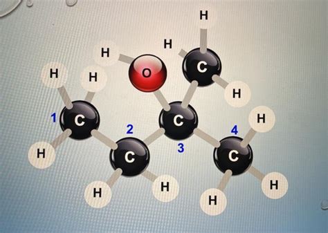Solved H C C C H H C Chegg Com