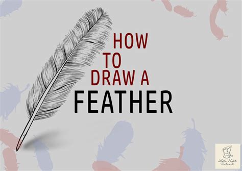How To Draw A Feather In 6 Simple Steps 2025