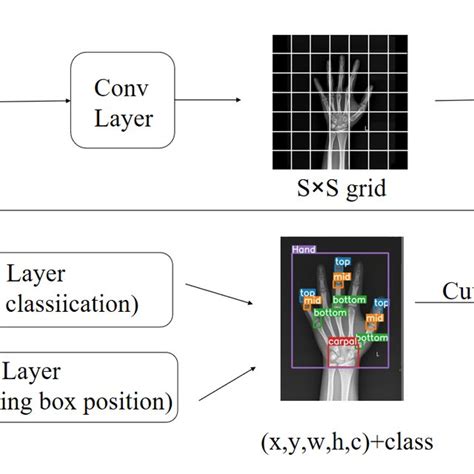 Workflow Of Faster R Cnn Conv Layer Convolutional Layers Fc Layer Download Scientific