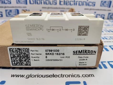 Skkd162 16 Semikron Diode Diode Module At Best Price In Mumbai