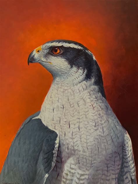 Jonathan Wilde As I See It April 19 June 2 2024 Stephen Bodio