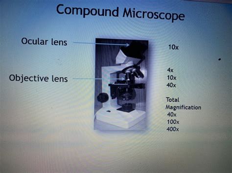Bio Lab Quiz 1 Flashcards Quizlet