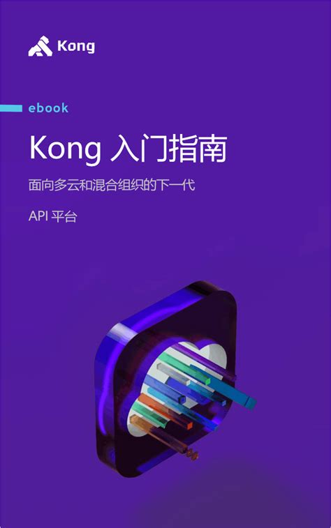 Kong入门指南 2 准备管理Kong Gateway ryan Z 博客园