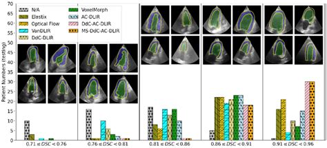 five different groups of obtained dscs demonstrating the number of