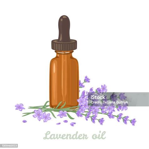라벤더 에센셜 오일 흰색 배경에 고립 된 호박색 유리 드롭퍼 병과 향기로운 꽃 만화 플랫 스타일의 벡터 일러스트레이션 라벤더