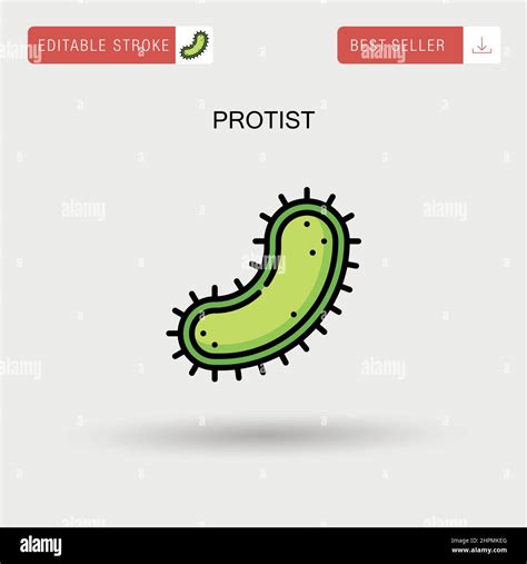 Protist Pictures