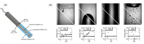 Separation Of Particle And Bubble Echo Signals Proposed By Murakawa Et