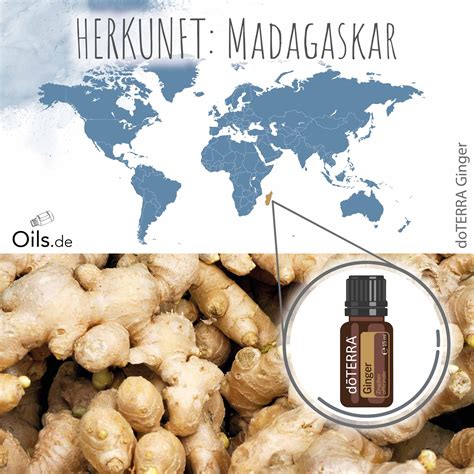 Doterra Ingwer Ginger 15ml Jetzt Günstig Online Kaufen