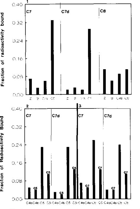 Figure From Formation And Structure Of The C B Complex Of The Lytic Pathway Semantic Scholar