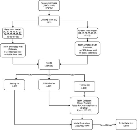 The Diagram Of Dental Object Detection Model Craniocatch Download Scientific Diagram