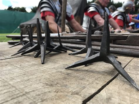 Caltrop Replica Trimontium Museum