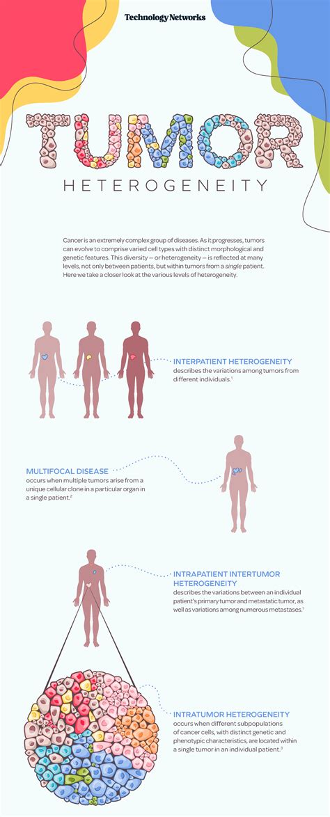 Tumor Heterogeneity Infographic Jen Power